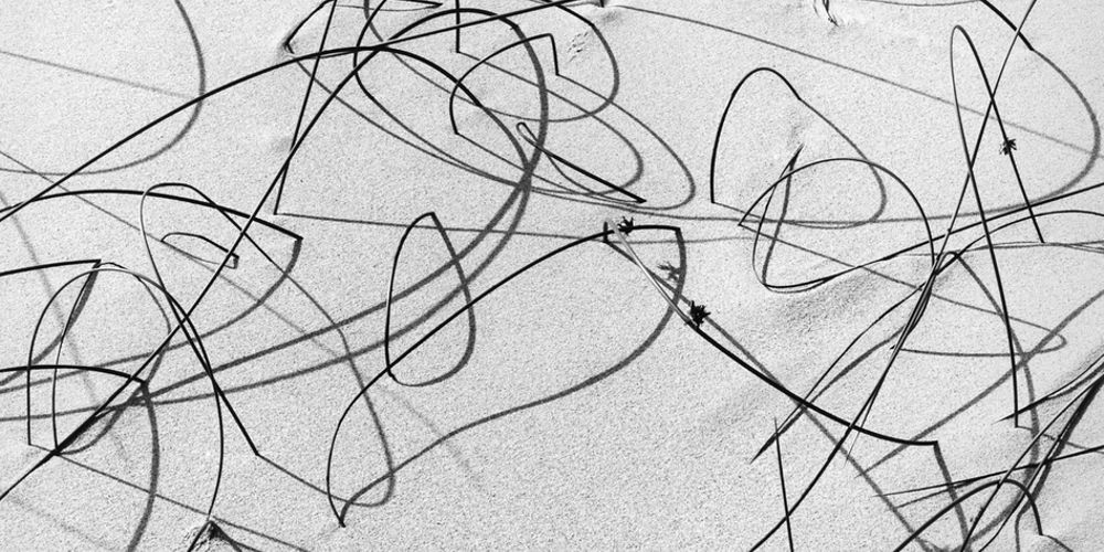 Toe the Line | Explore Meural's Permanent Art Collection | Digital Work