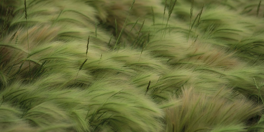 Annie Griffiths | Explore Meural's Permanent Art Collection | Digital Work