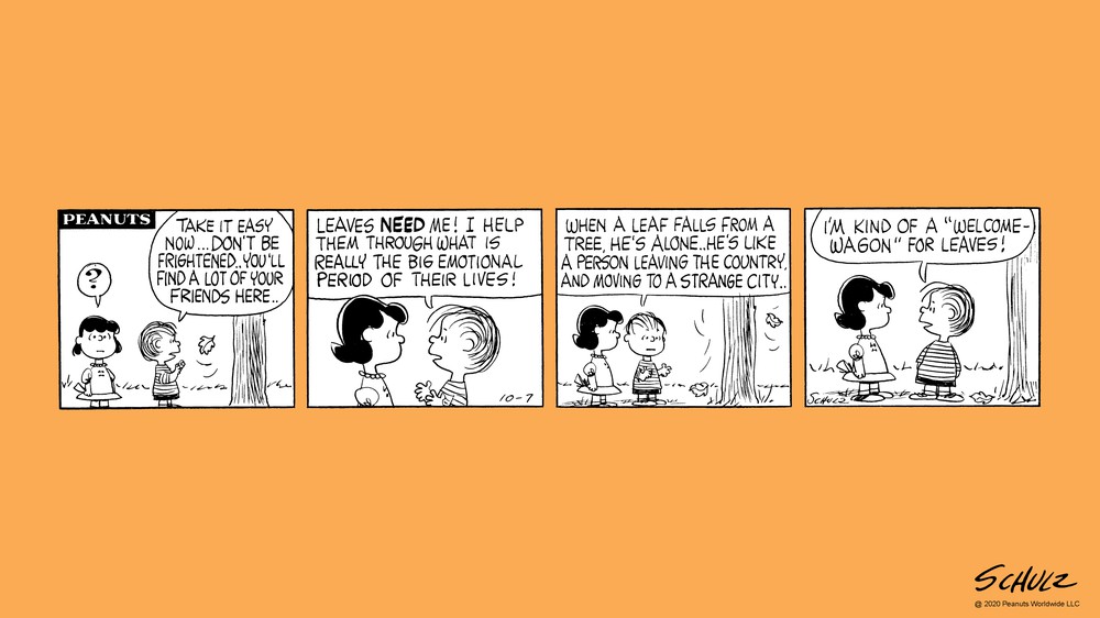 PEANUTS® Vintage Comic Strips: 10/2/1960 - 10/8/1960 | Explore Meural's ...