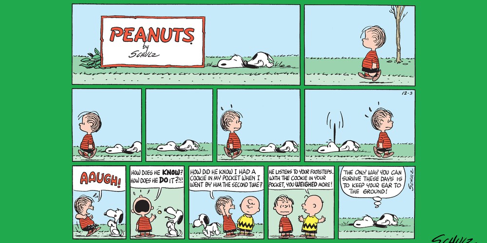 Peanuts Vintage Comic Strips: 12/3/1961 - 12/9/1961 | Explore Meural's ...