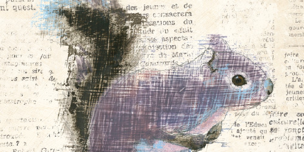 Emily Adams | Explore Meural's Permanent Art Collection | Digital Work