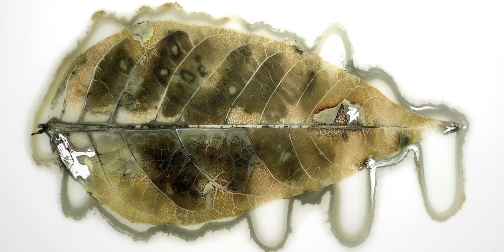 Edward Bateman | Explore Meural's Permanent Art Collection | Digital Work