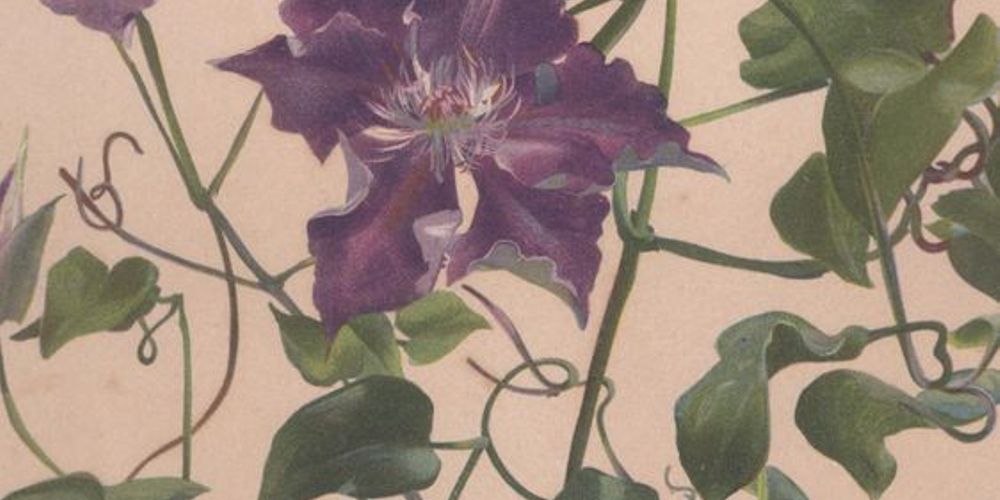 Alice Bailly | Explore Meural's Permanent Art Collection | Digital Work